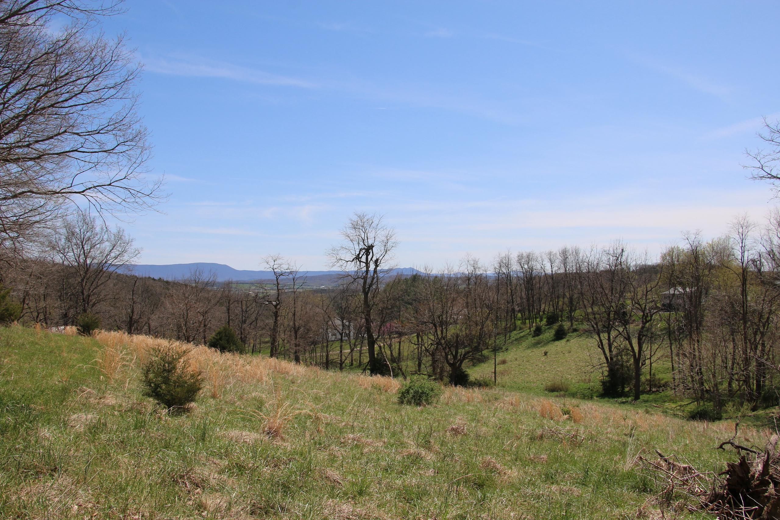Wengers Mill Road, LOT#WP002, Linville, VA 22834 | LandWatch