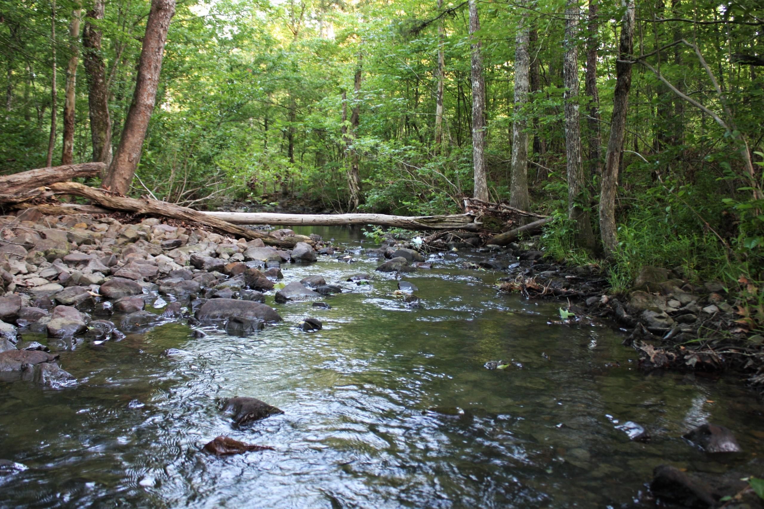 Kanis Road, Lot # WP001, Paron, AR 72122 | LandWatch