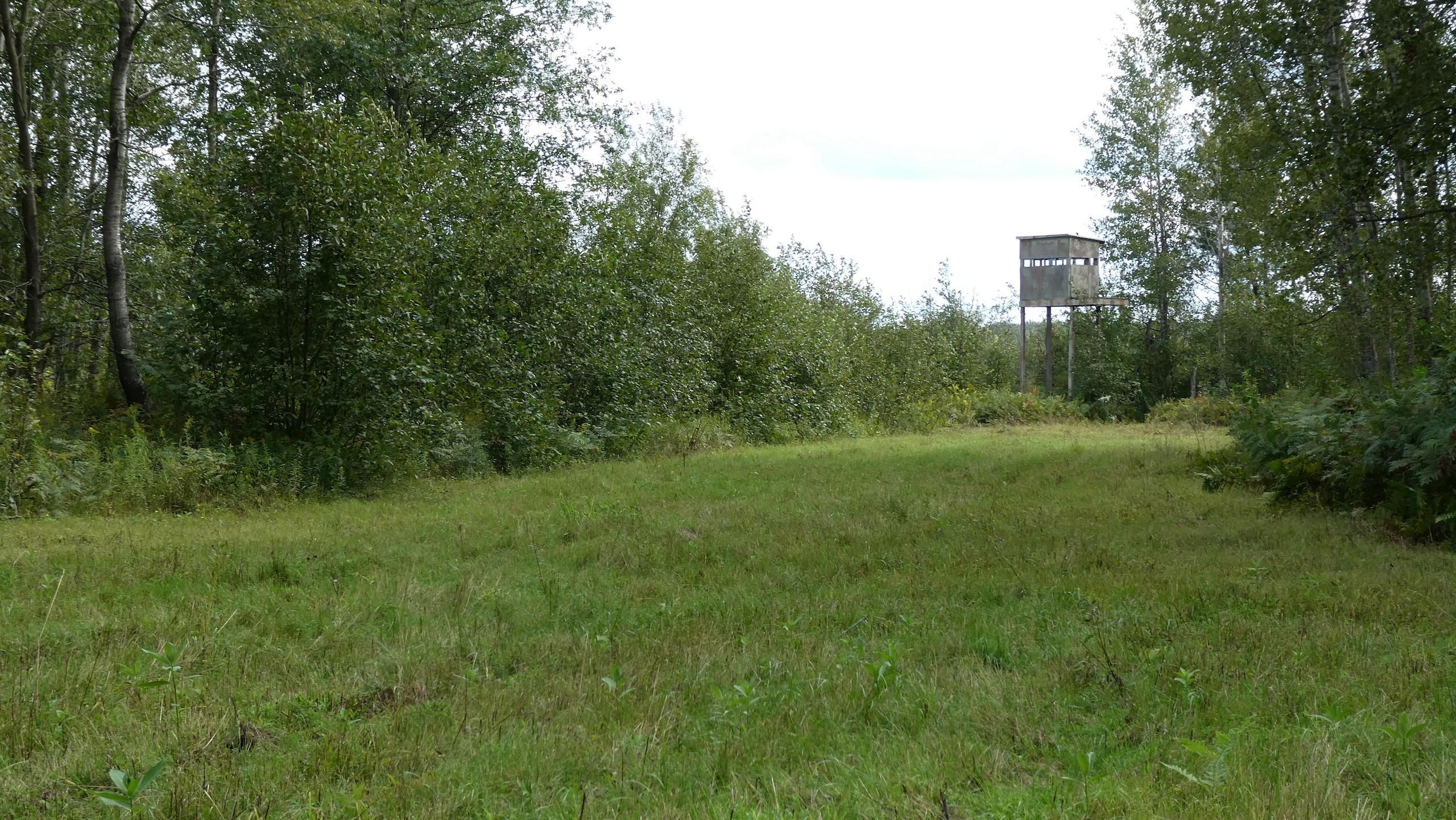 5298 US 10, Sears, MI 49679 | LandWatch