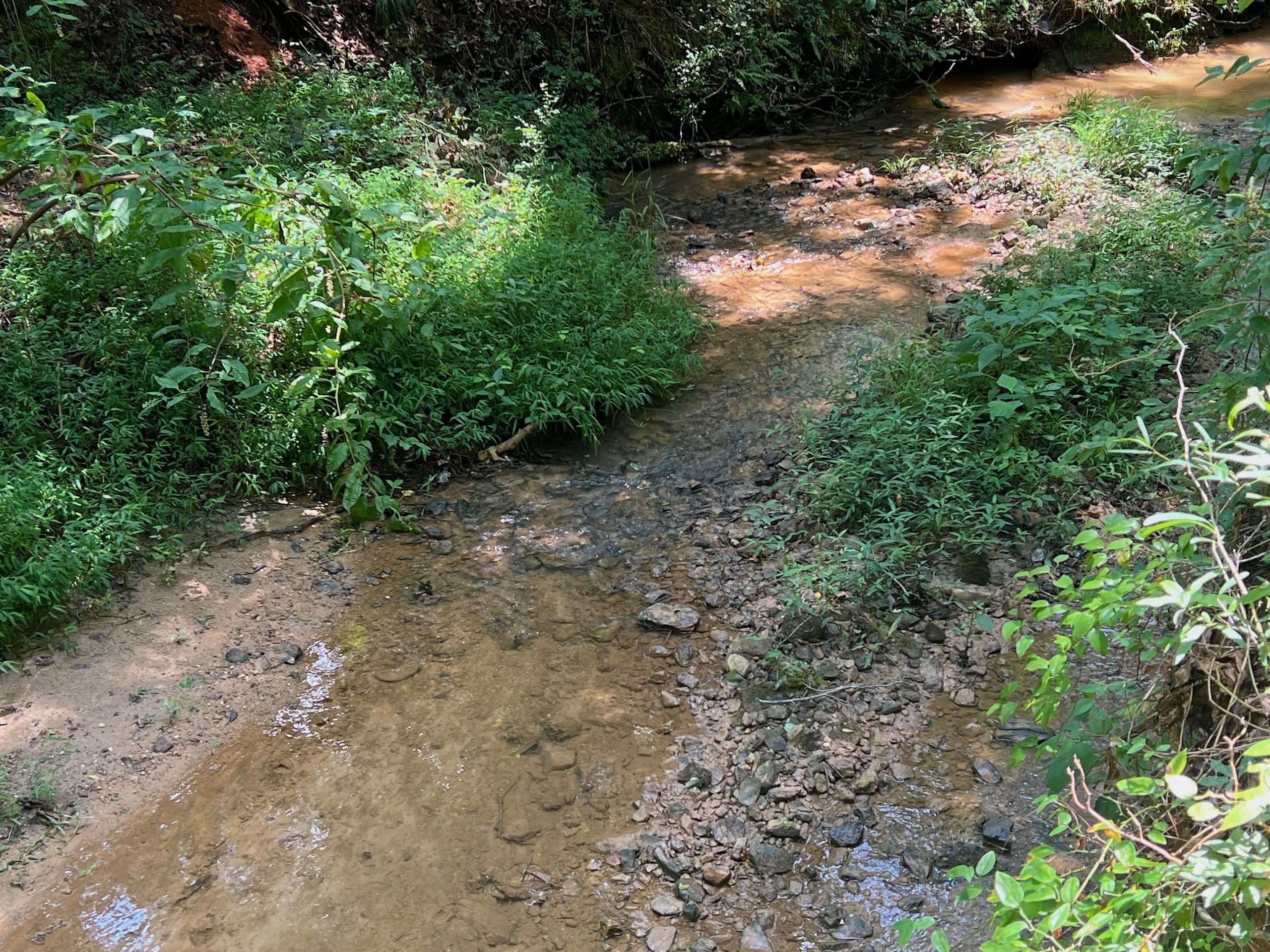 Forest City, Rutherford County, NC Recreational Property, Timberland ...