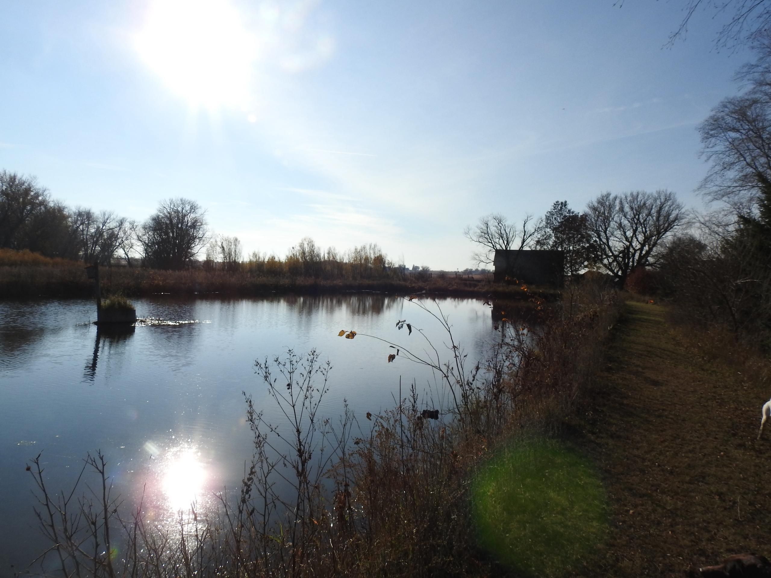 2920 230th Street, Lot#WP001, Readlyn, IA 50668 | LandWatch