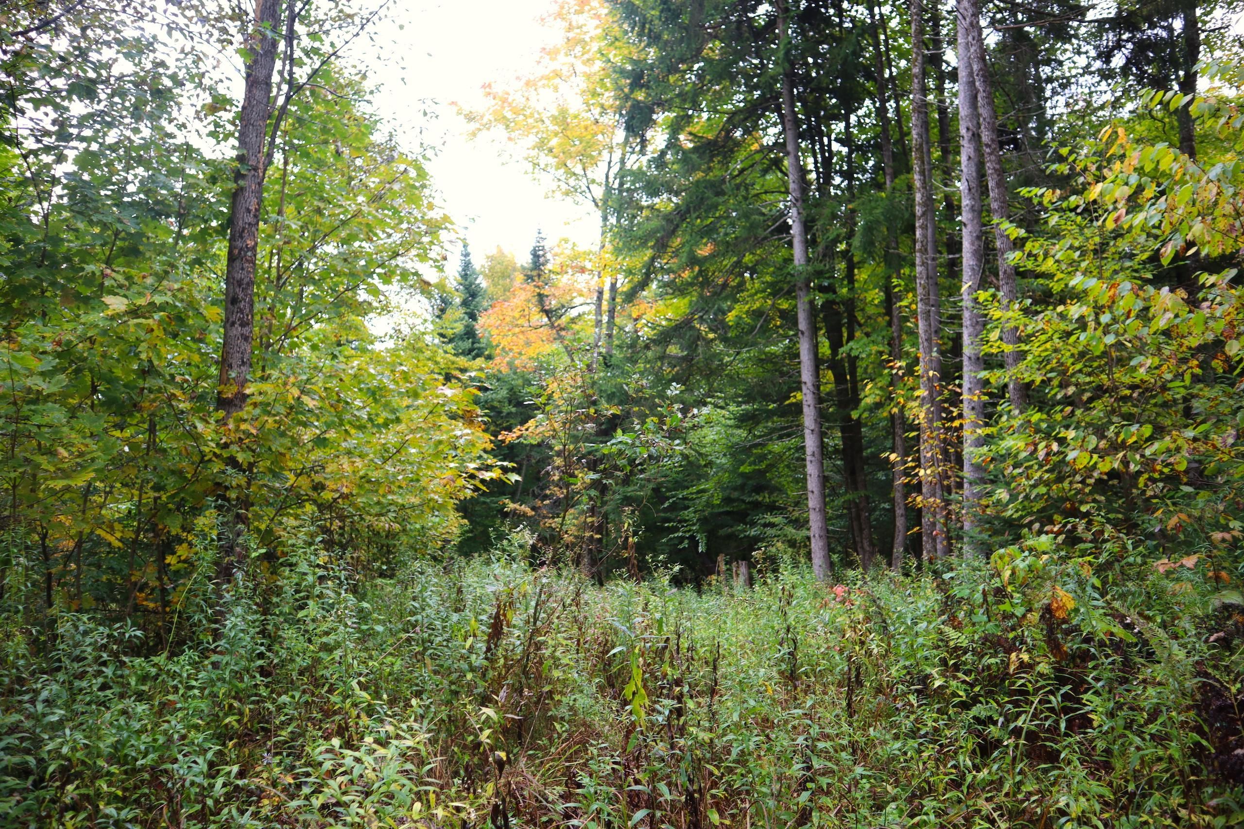 Ellenburg, Clinton County, NY Recreational Property, Timberland ...