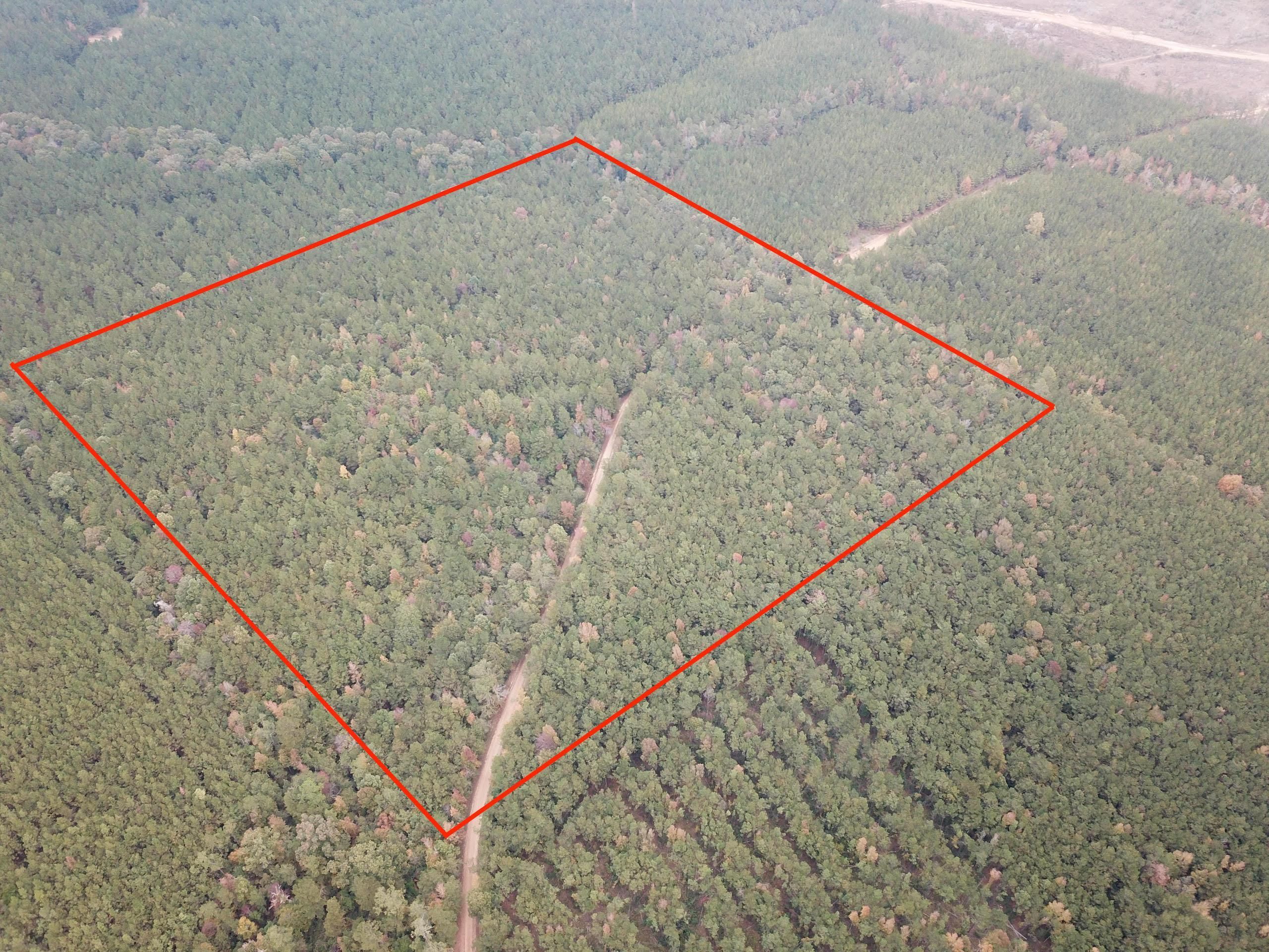 Grayson, Caldwell Parish, LA Recreational Property, Timberland Property ...