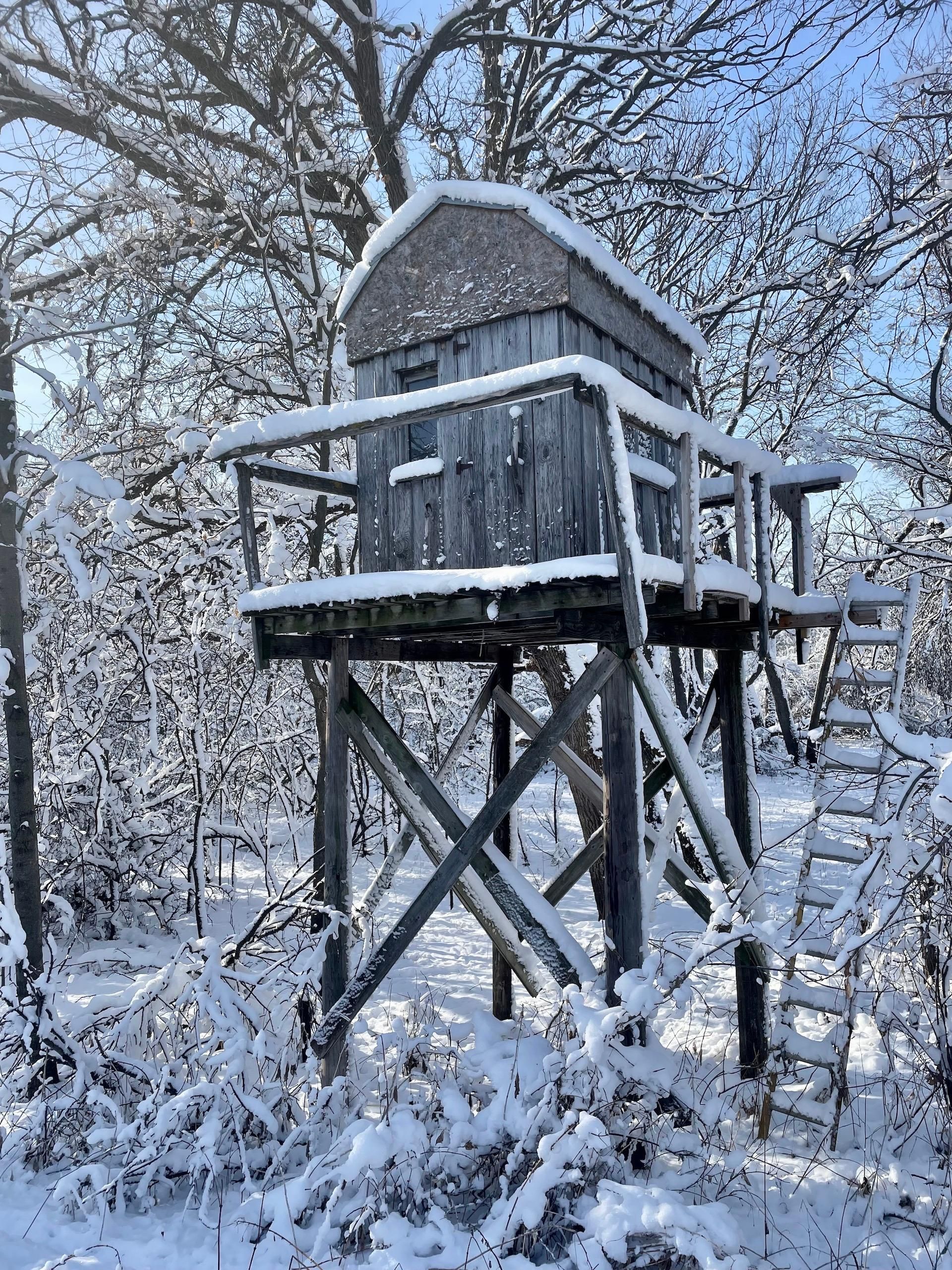 230th Avenue, Lot#WP001, Hazel Run, MN 56241 | LandWatch