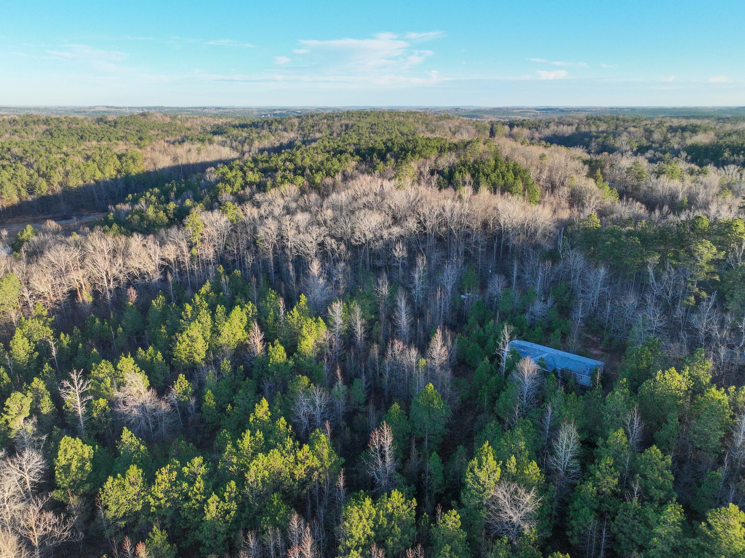 0 Pitts Chapel Road, Lot#WP001, Macon, GA 31217 | LandWatch