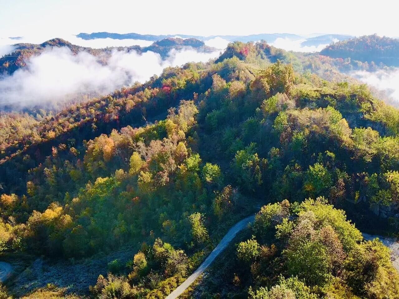 Artemus, Knox County, KY Farms and Ranches for sale Property ID ...