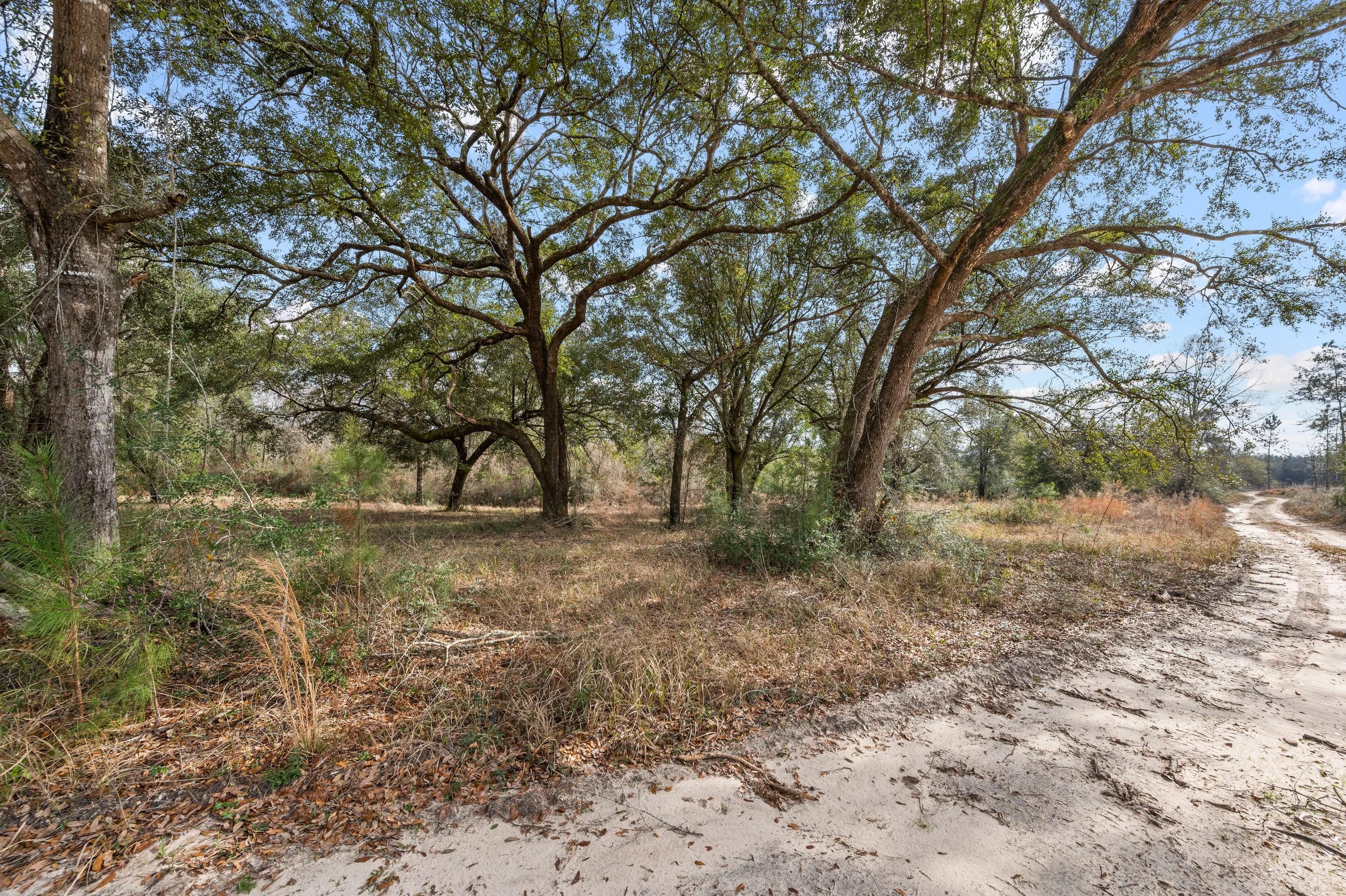 South Grand Bay Wilmer Road, Mobile, AL 36695 | MLS: 7164583 | LandWatch