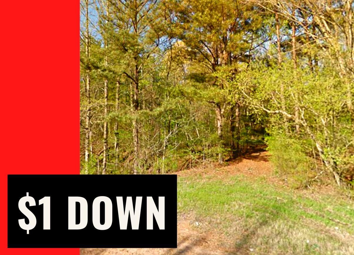 Sarah, Panola County, MS Recreational Property, Undeveloped Land ...