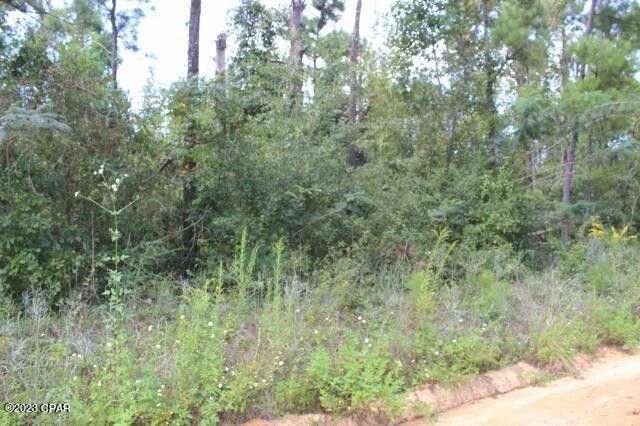 Grand Ridge, Jackson County, FL Undeveloped Land, Homesites for sale ...