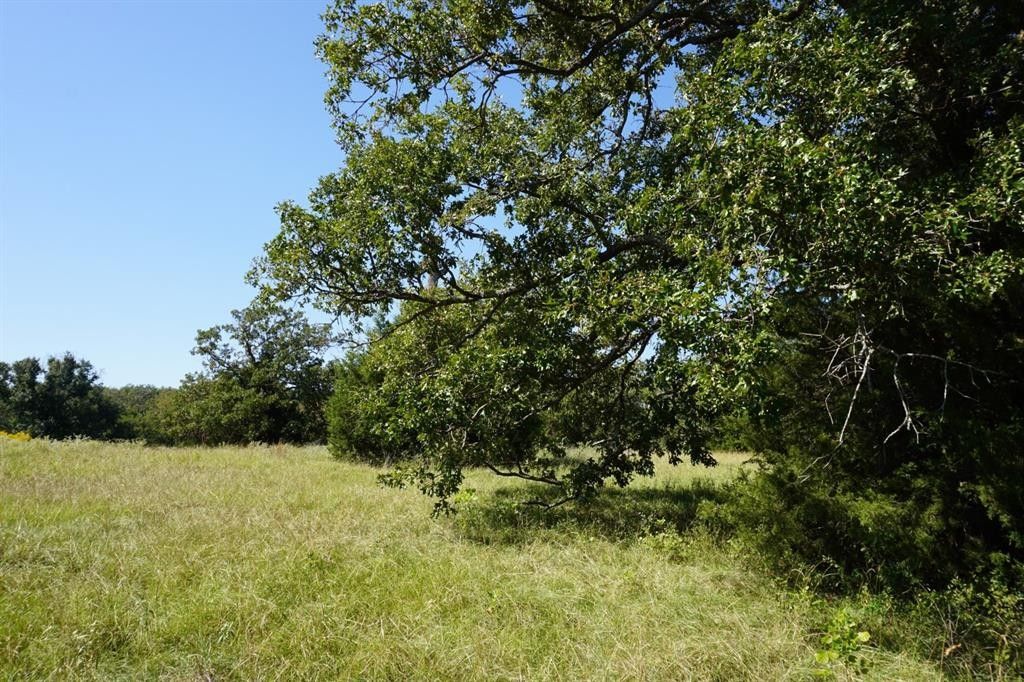 Athens, Henderson County, TX Undeveloped Land for sale Property ID ...