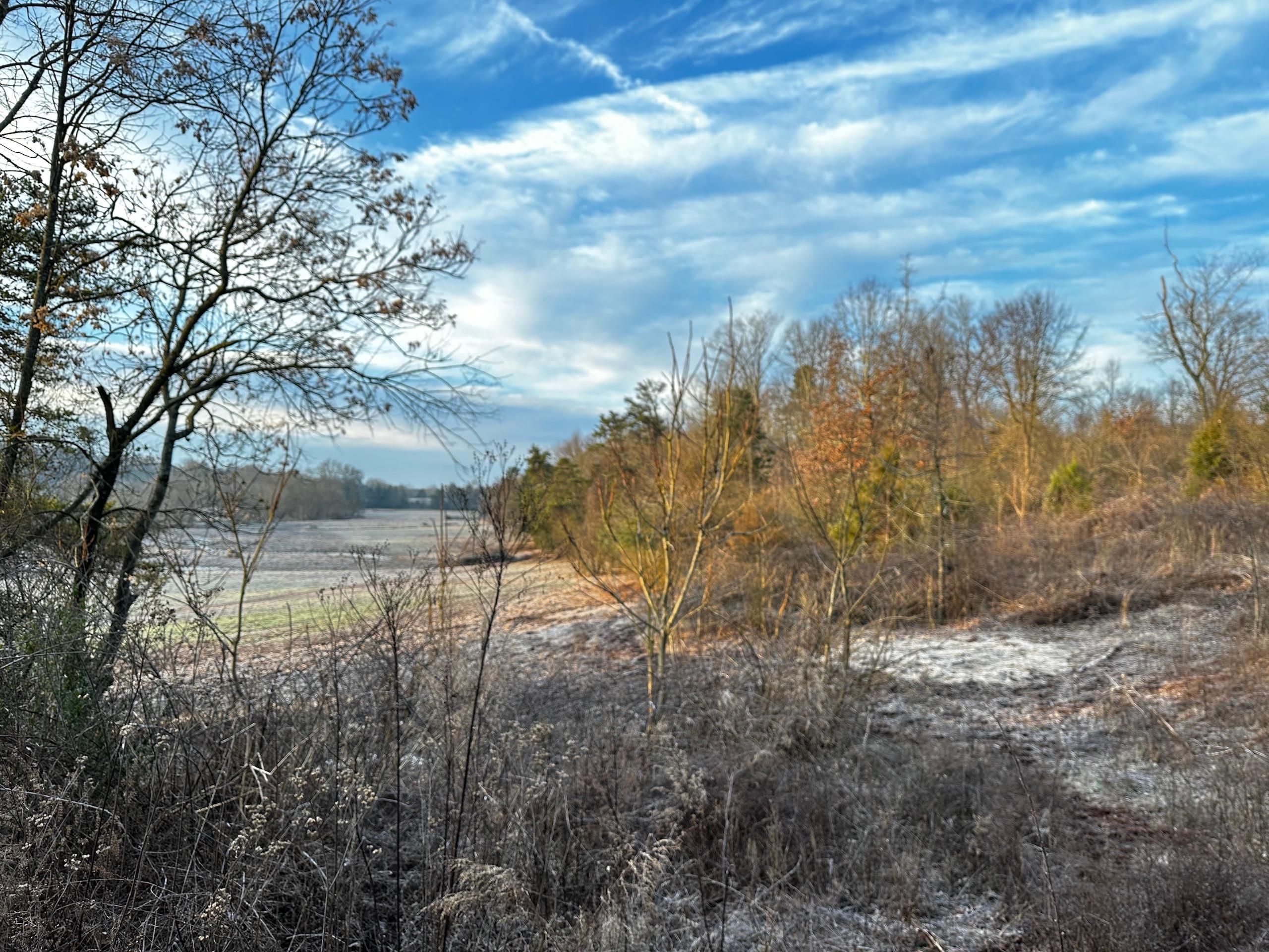 Philadelphia, Loudon County, TN Recreational Property, Hunting Property ...