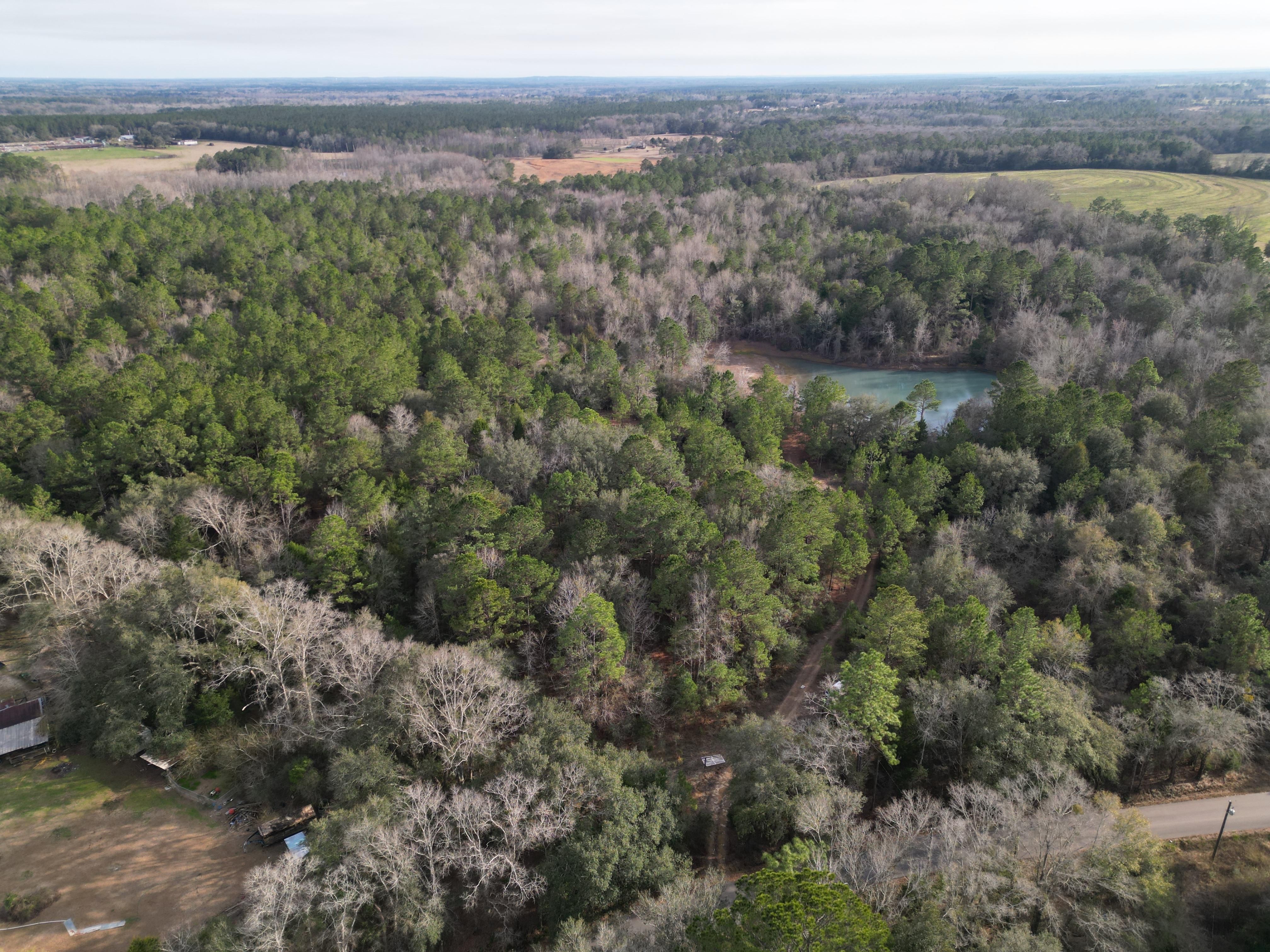 Steverson Road, Bonifay, FL 32425 | MLS: 736846 | LandWatch