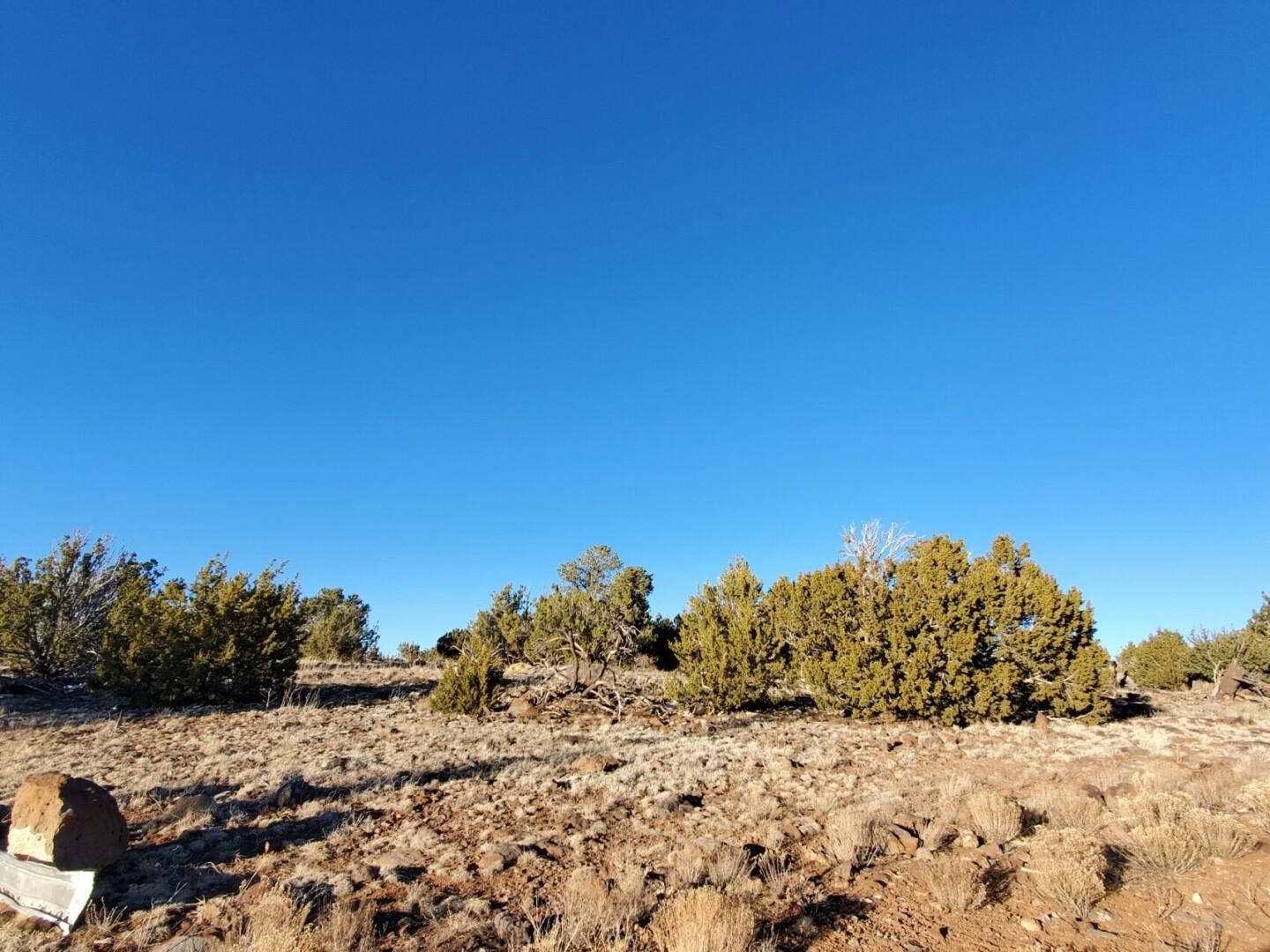 Concho, Apache County, AZ Recreational Property, Homesites for sale ...