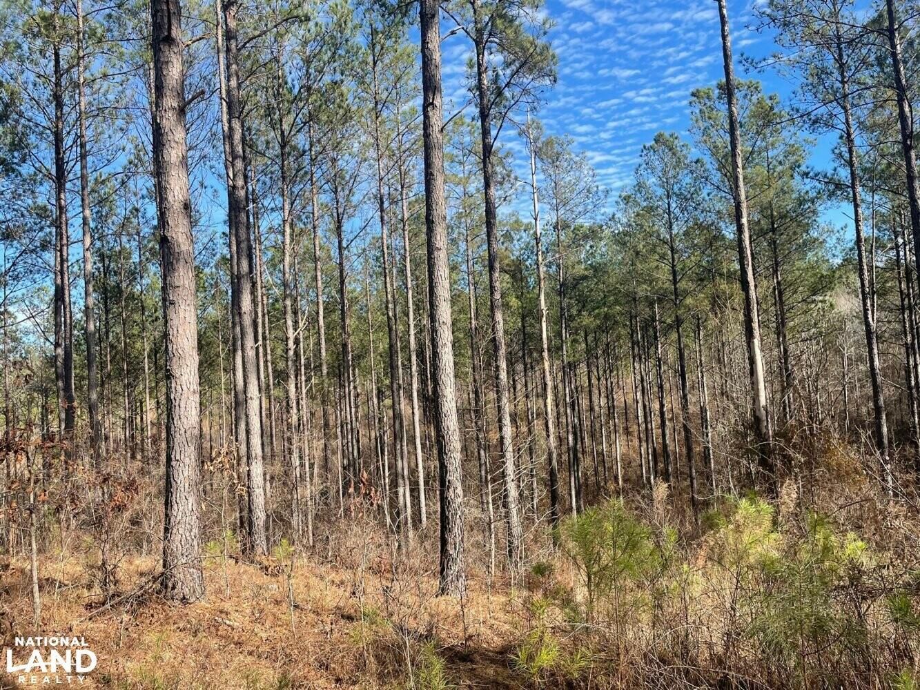 Off of Sunders Road, Kennedy, AL 35574 | LandWatch