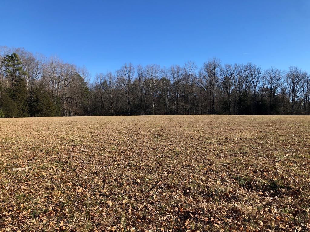 Trottinridge Road, Skipwith, VA 23968 | MLS: 66903 | LandWatch