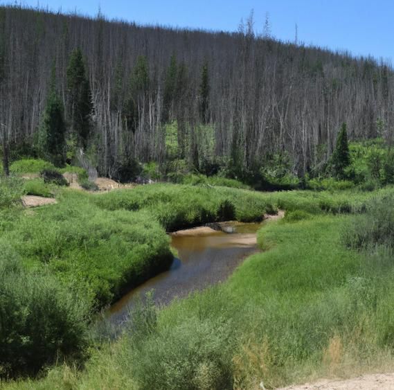 20 acres in Rand, CO, 80473 | LandWatch