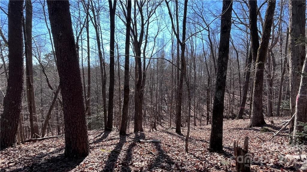Lake Lure, Rutherford County, NC Undeveloped Land, Lakefront Property ...