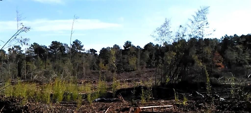 Timpson, Shelby County, TX House for sale Property ID: 415742263 ...
