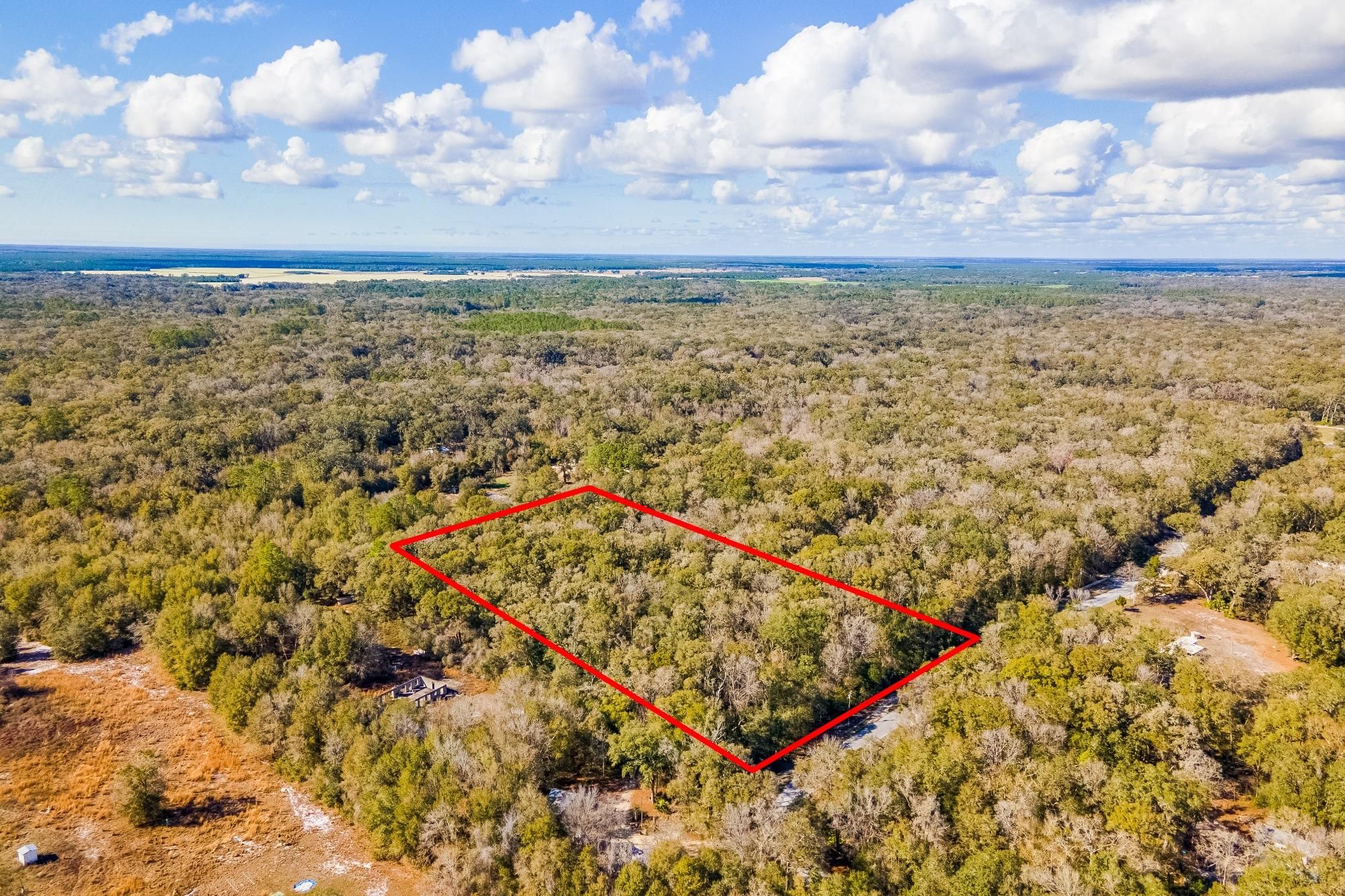 Old Town, Dixie County, FL Recreational Property, Undeveloped Land ...