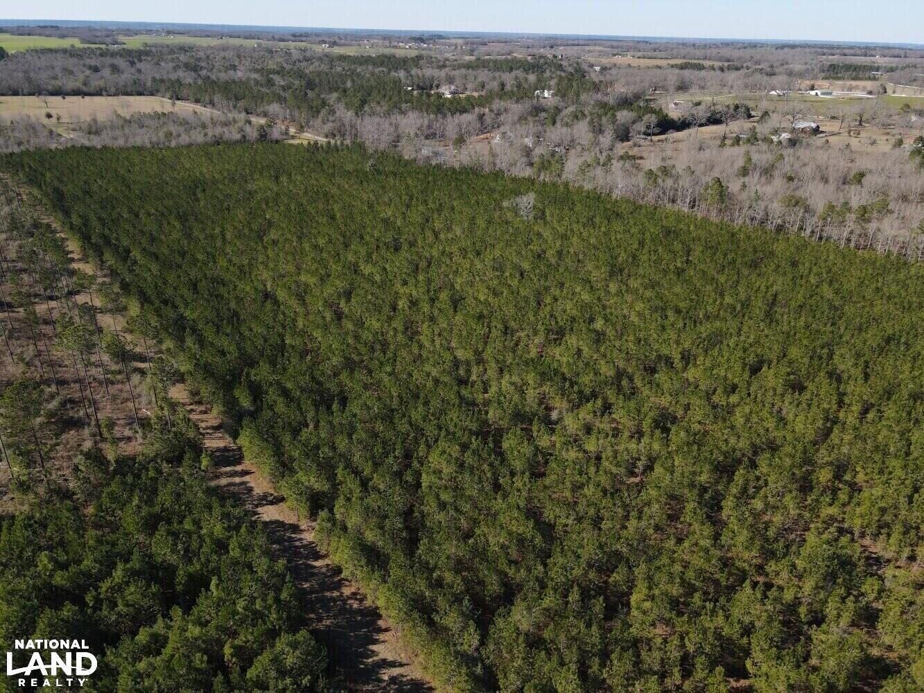 2788 Bud Diamond Road, Jay, FL 32565 | LandWatch