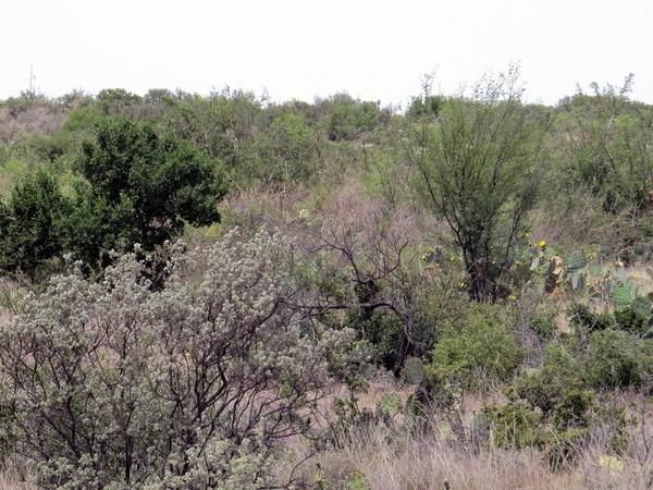 Comstock, Val Verde County, TX Farms and Ranches, Recreational Property ...