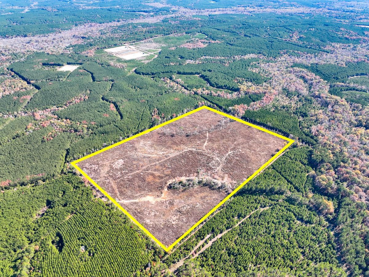 Off CR 425, Woden, TX 75961 | LandWatch