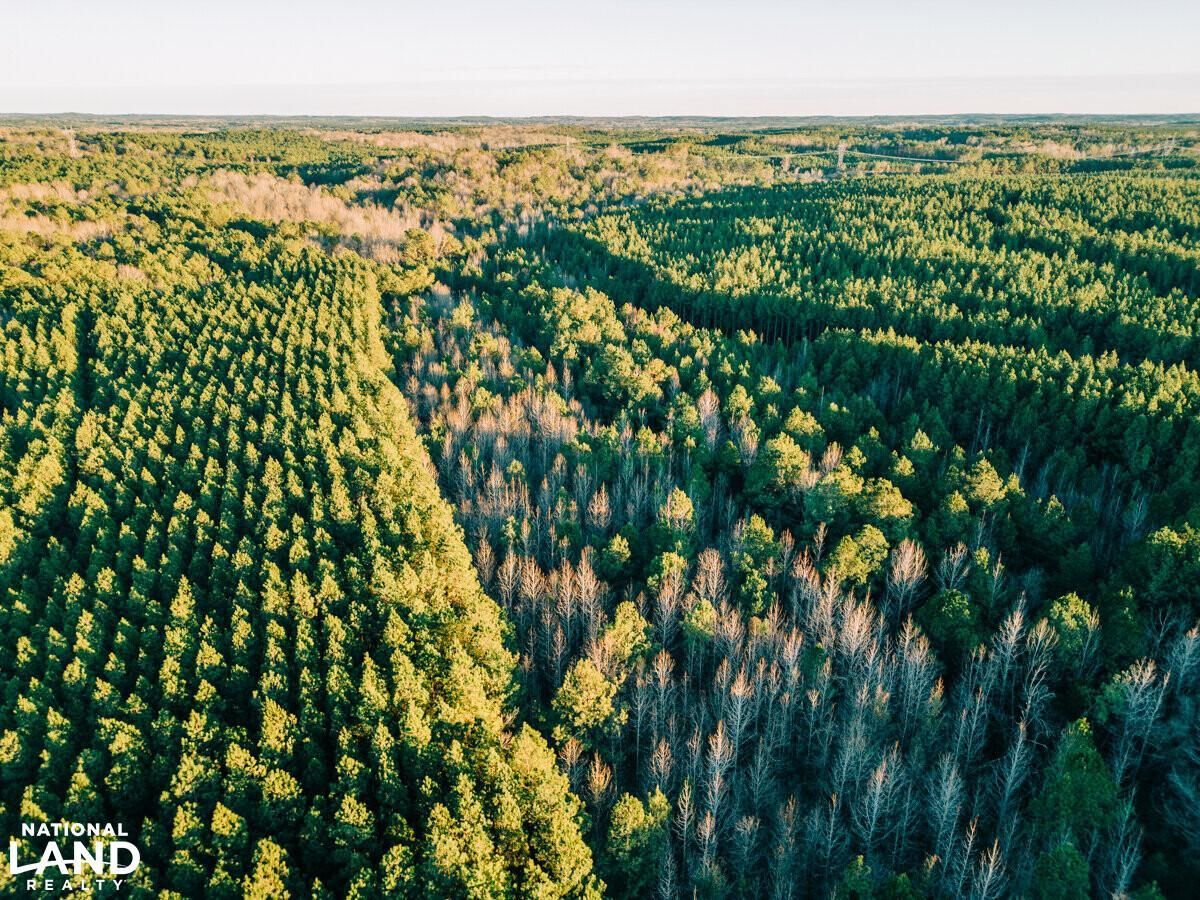 Sallis, Attala County, MS Recreational Property, Timberland Property ...