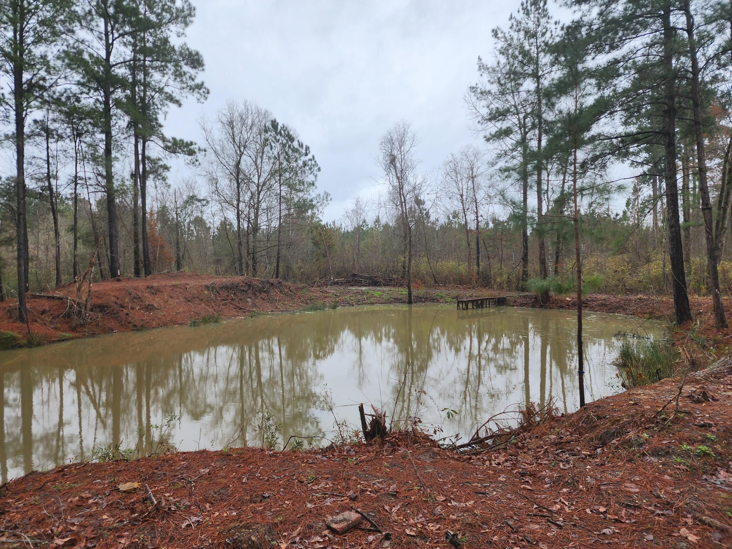 Adams Run, Charleston County, SC Farms and Ranches for sale Property ID ...
