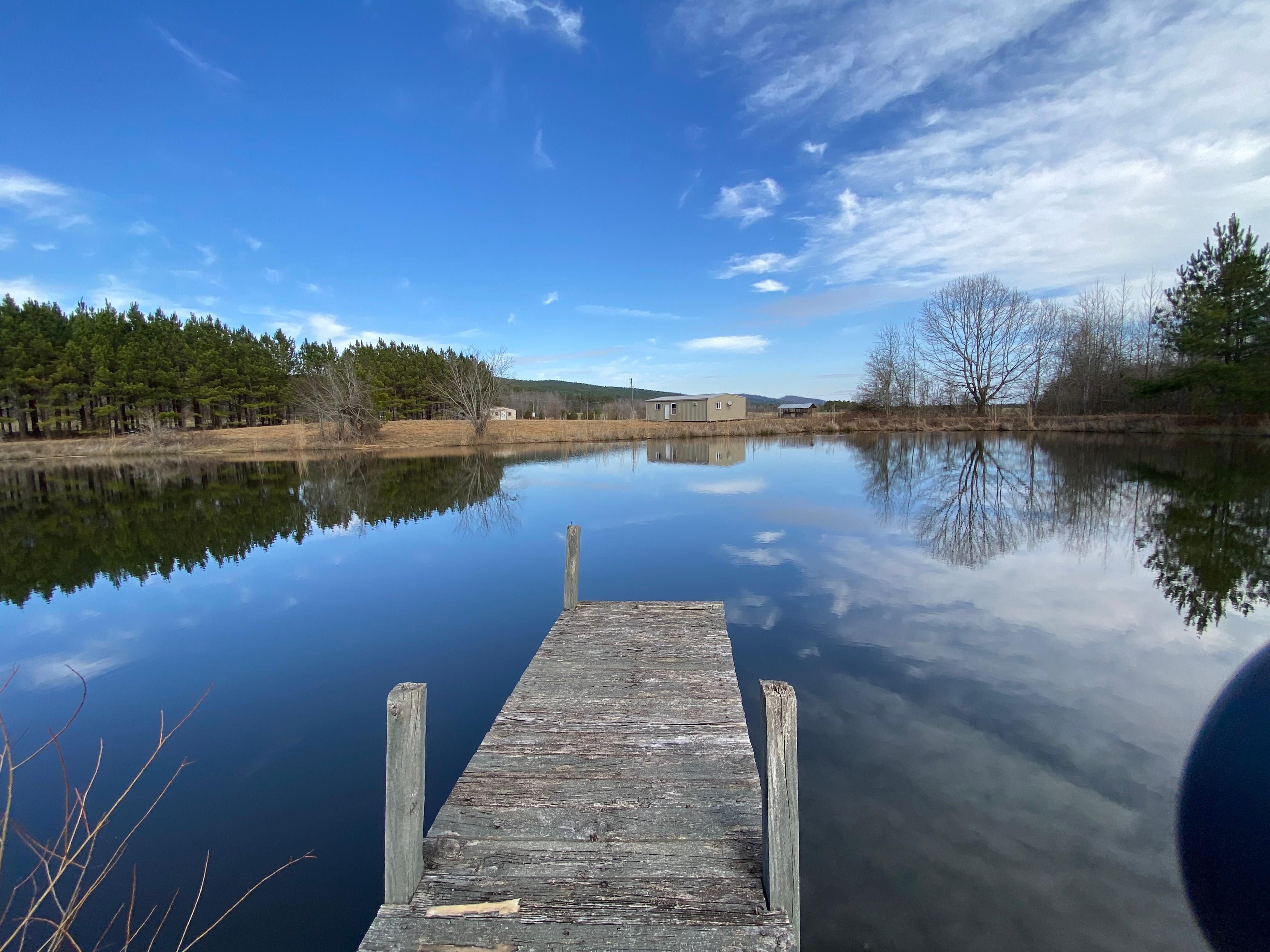 47 acres in Ashville, AL, 35953 | LandWatch