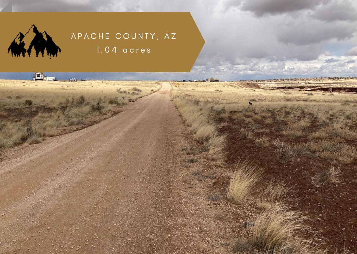 Saint Johns, Apache County, AZ Recreational Property, Undeveloped Land ...