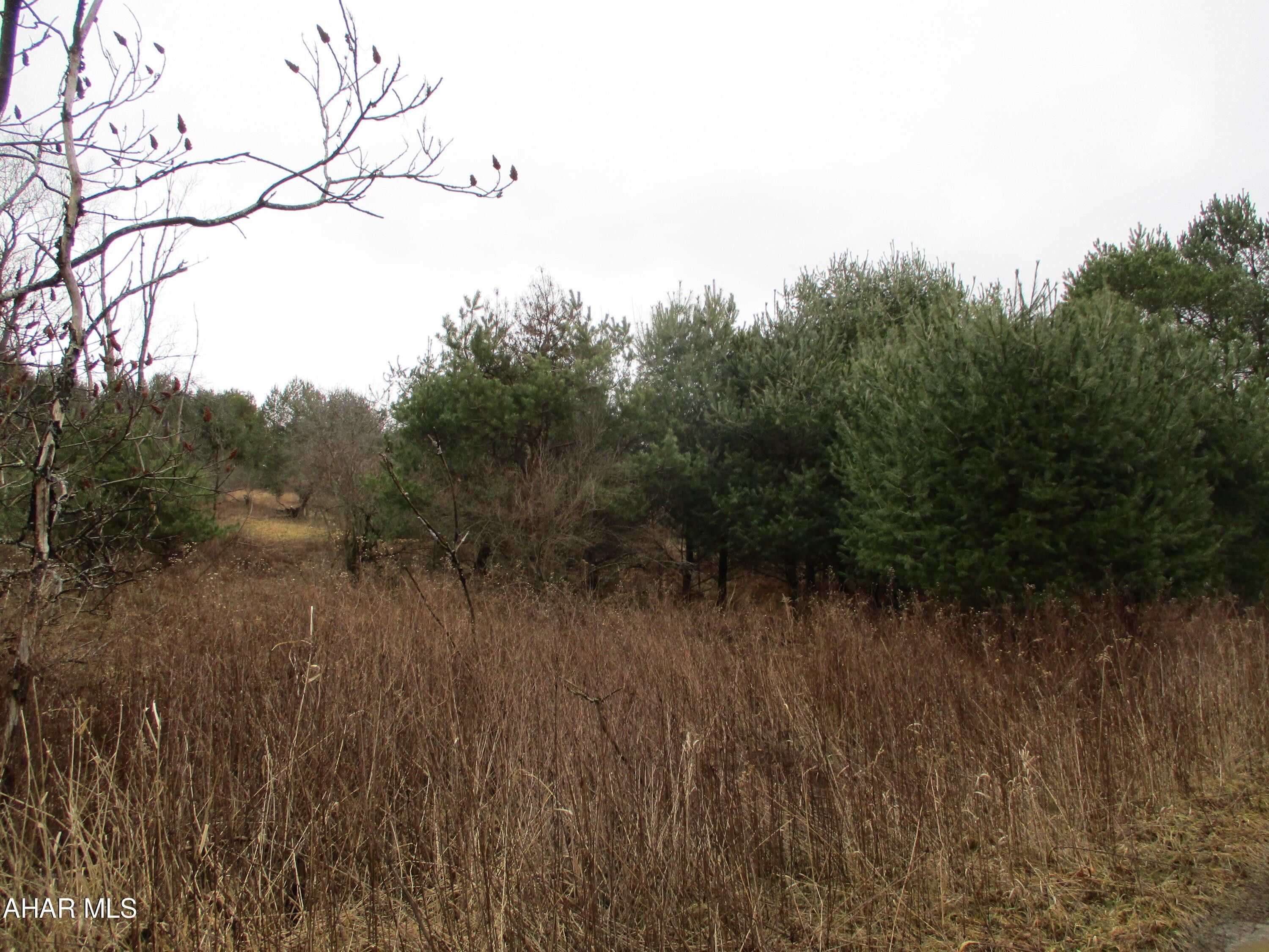 Olanta, Clearfield County, PA Undeveloped Land for sale Property ID ...