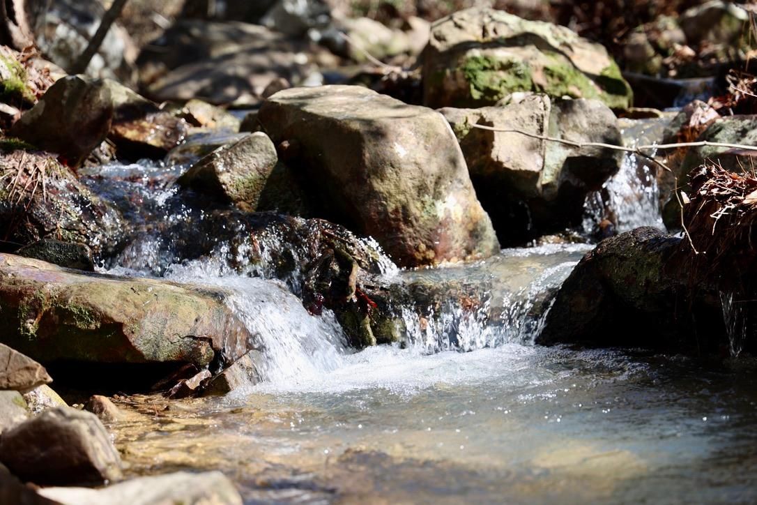 20 acres in Honobia, OK, 74957 | LandWatch