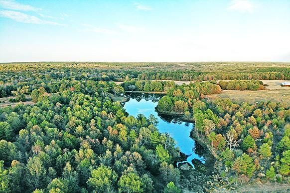 County Road 4114, Pittsburg, TX 75686 | LandWatch