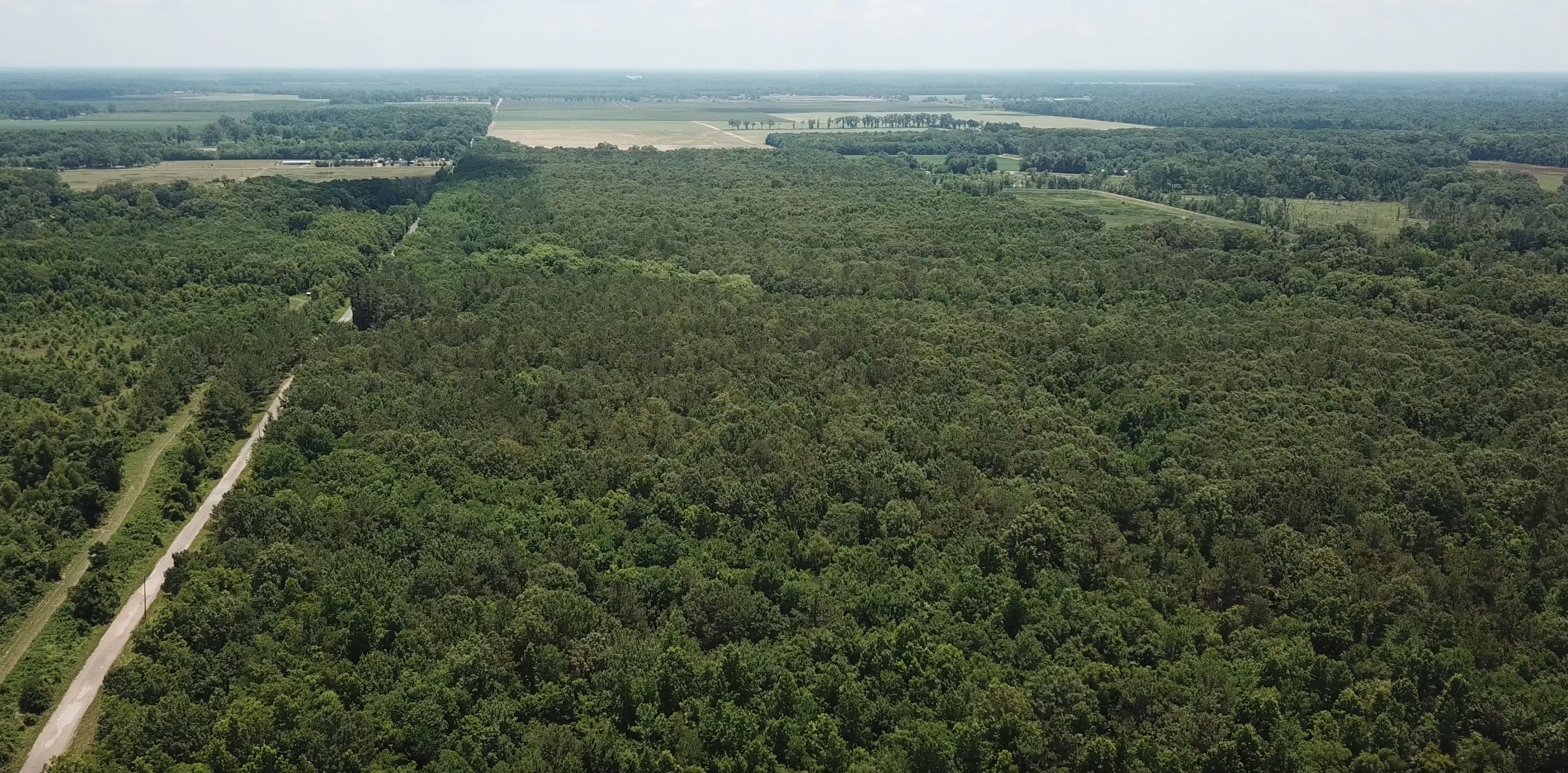 63 acres in Jonesville, LA, 71343 | LandWatch