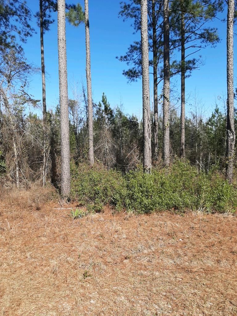 19 Colby Circle, Dublin, GA 31021 | MLS: 11247 | LandWatch