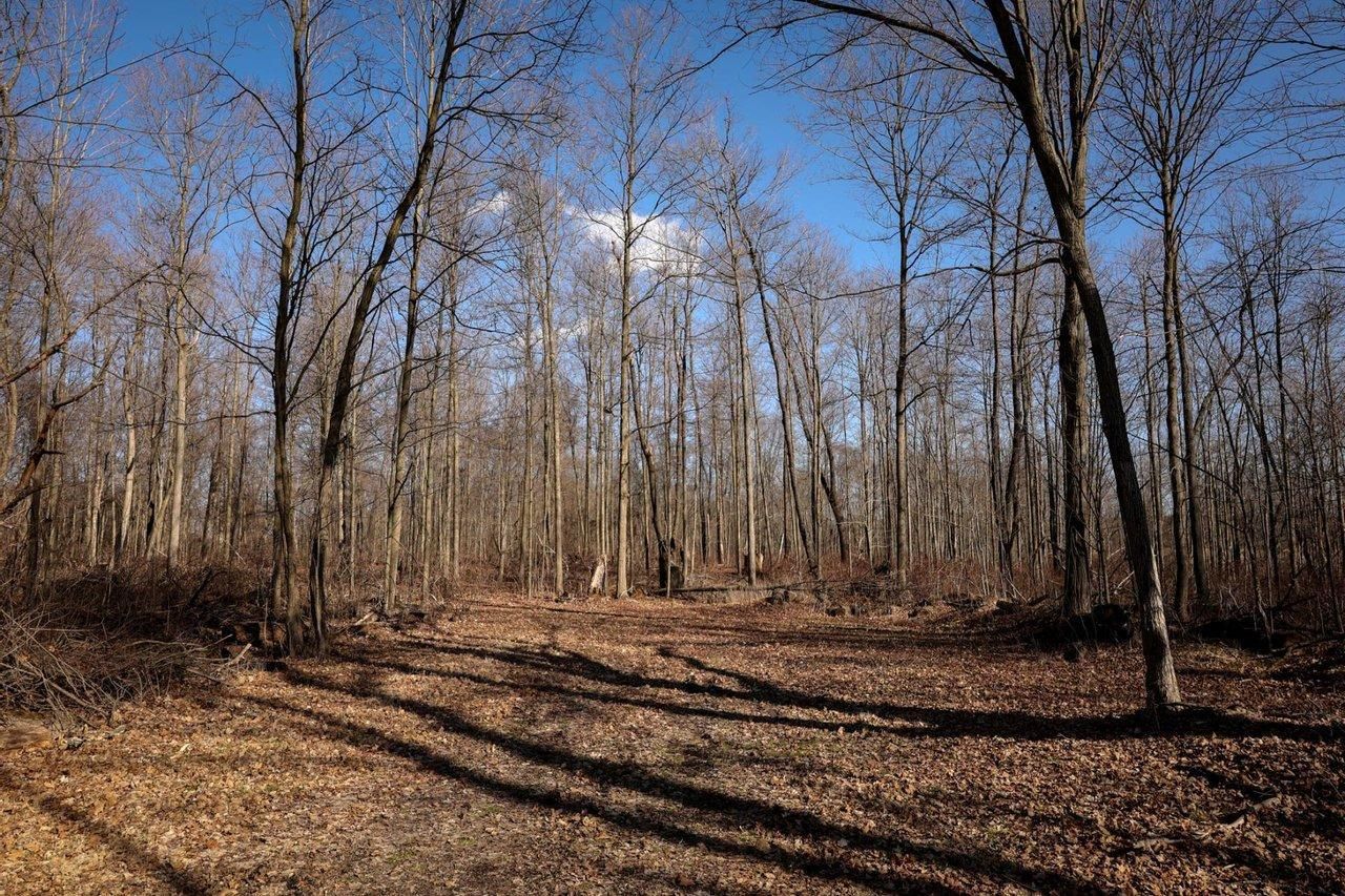 Williamsfield, Ashtabula County, OH Recreational Property, Hunting ...