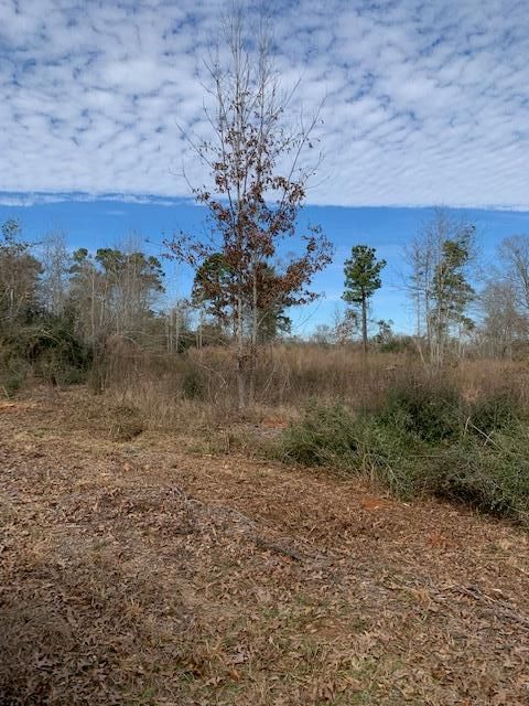 Bronson, Sabine County, TX Recreational Property for sale Property ID ...