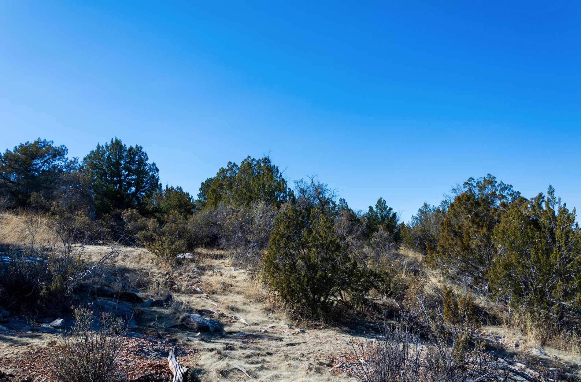 Seligman, Yavapai County, AZ Recreational Property, Homesites for sale ...