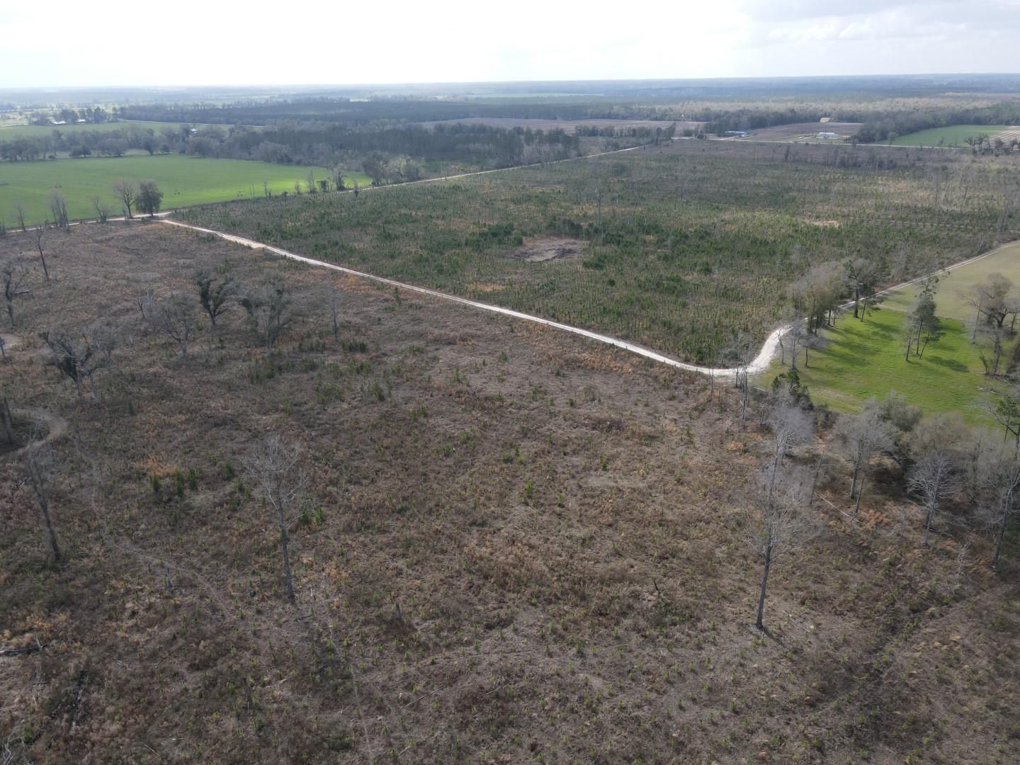 119 acres in Gordon, AL, 36343 | LandWatch