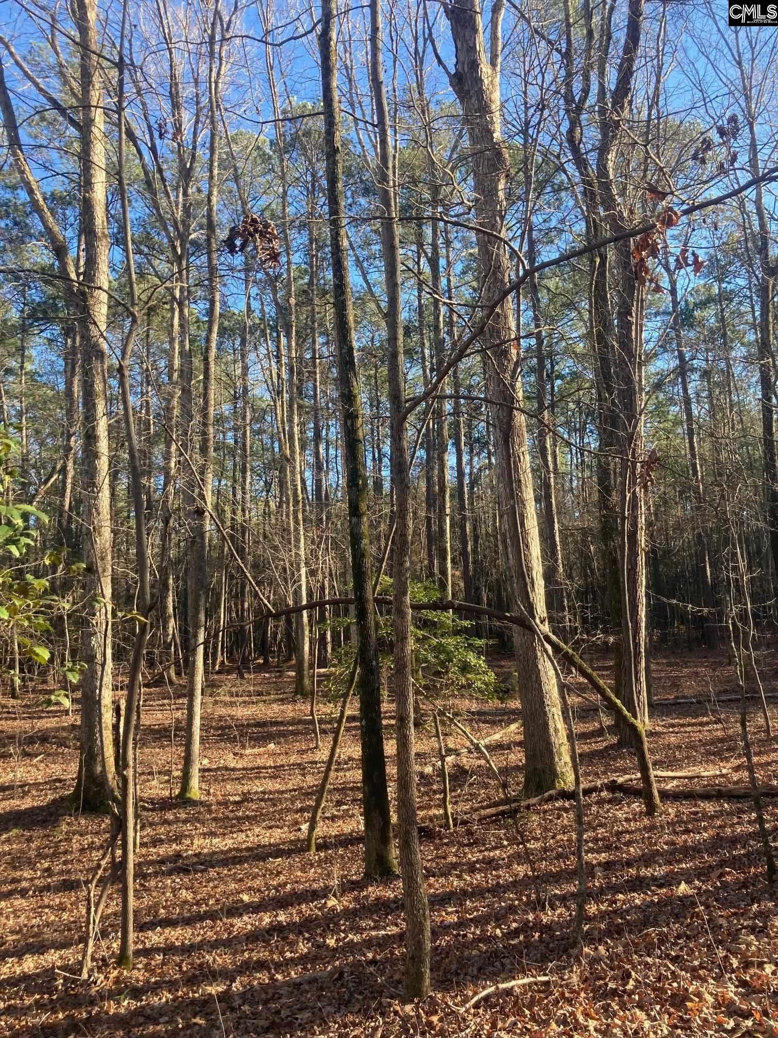 0 Church, Prosperity, SC 29127 | MLS: 550151 | LandWatch