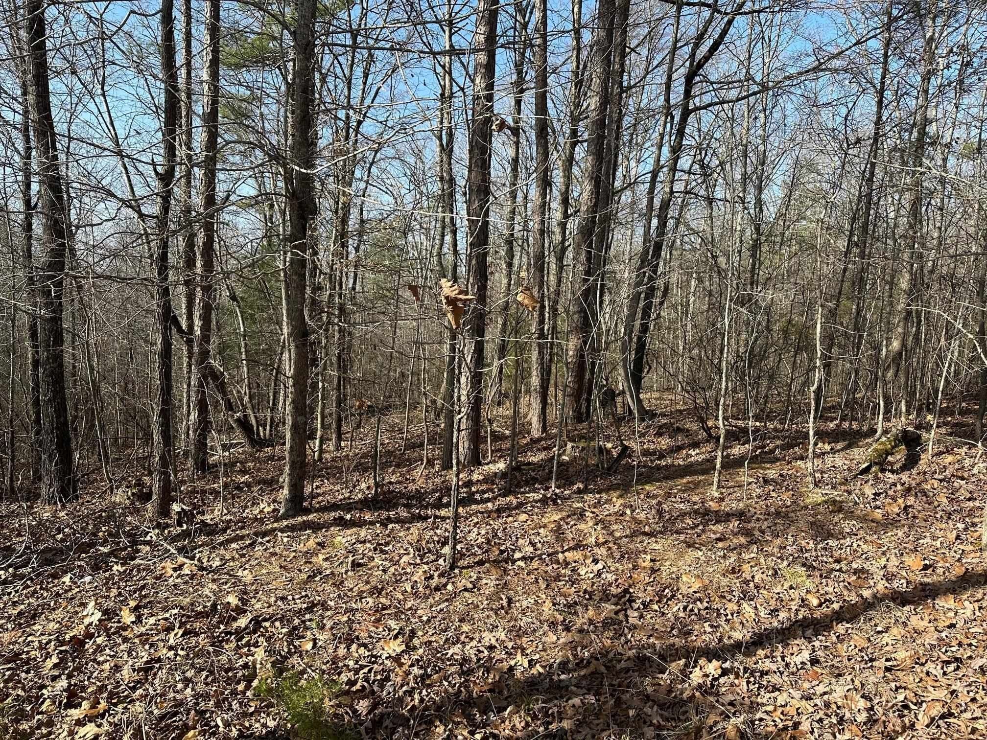 Henderson, Chester County, TN for sale Property ID: 415899754 | LandWatch