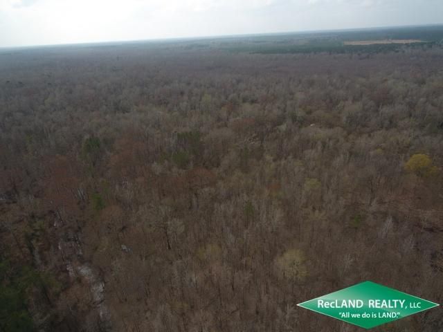 off Reitzell Rd, Grayson, LA 71435 | LandWatch