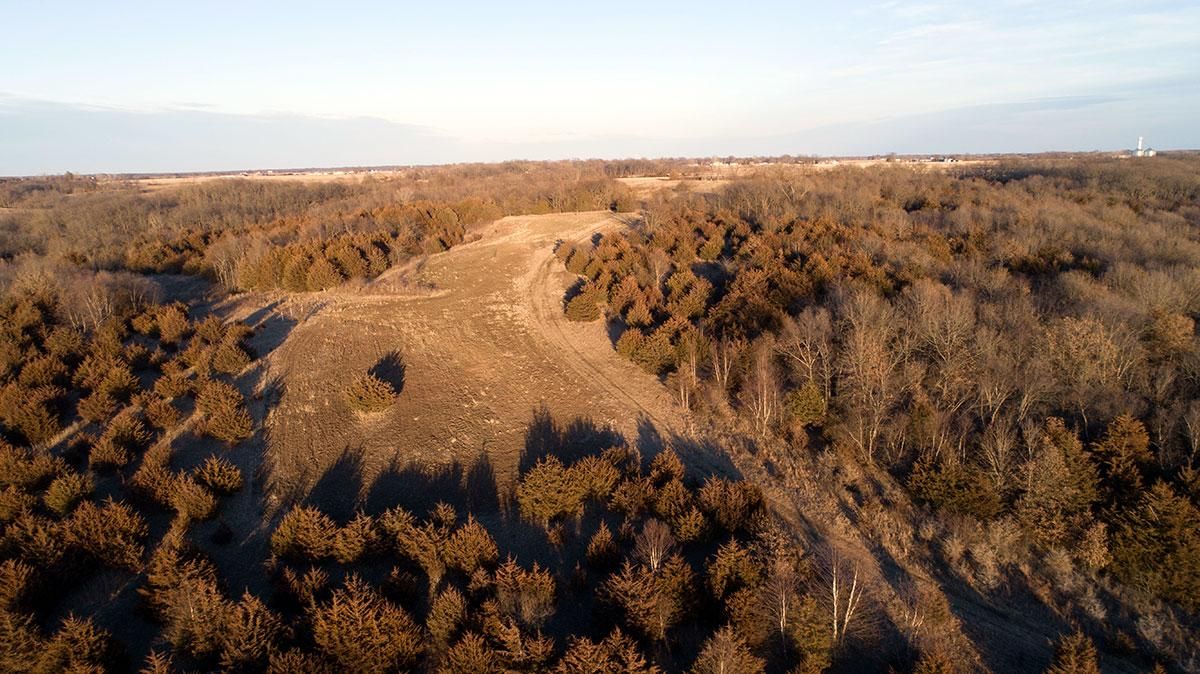 171 acres in Birmingham, IA, 52535 | LandWatch