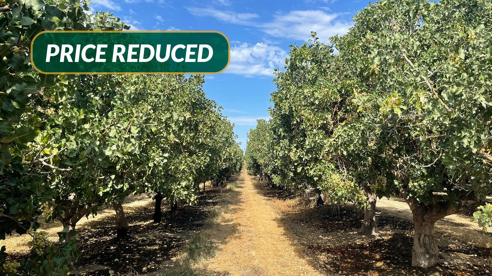 S. of Ave. 21, W. of Rd. 38, Madera Ranchos, CA 93636 | LandWatch