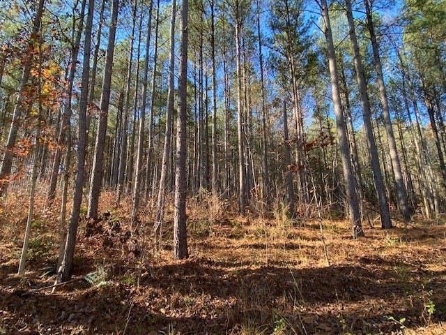 122.94 acres in Robbins, NC, 27325 | LandWatch
