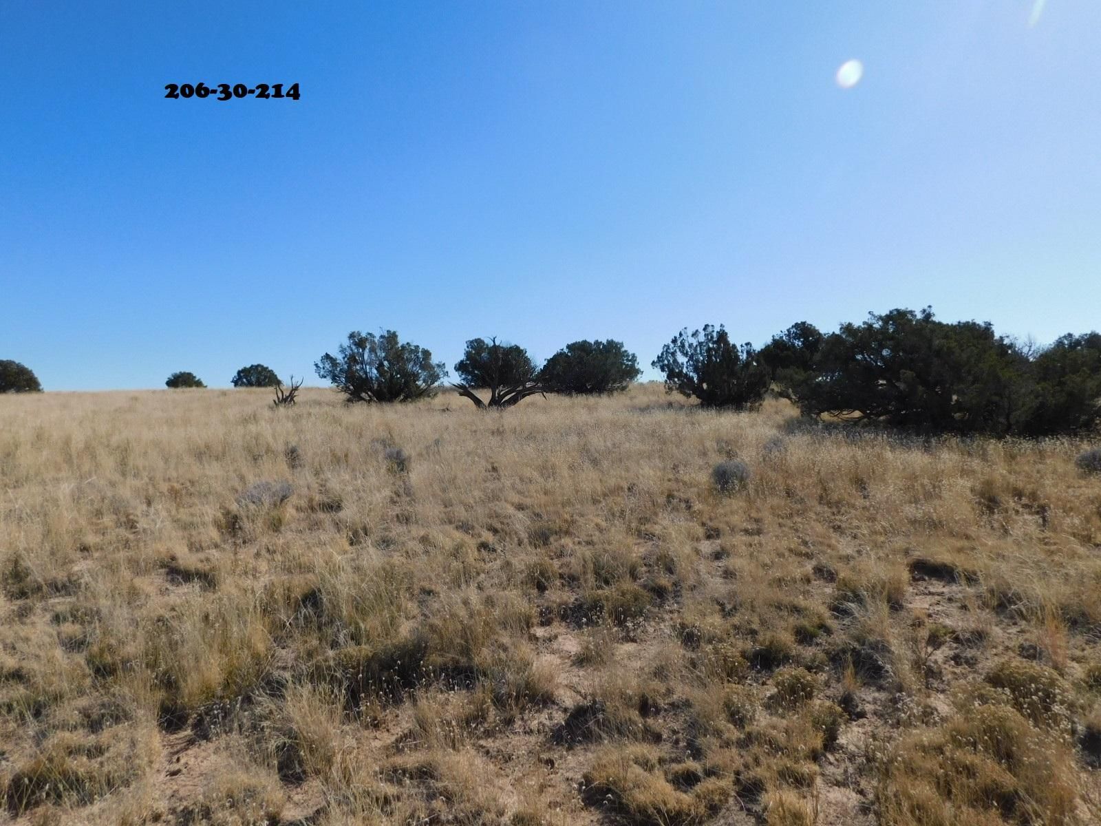 4.66 acres in Chambers, AZ, 86512 | LandWatch