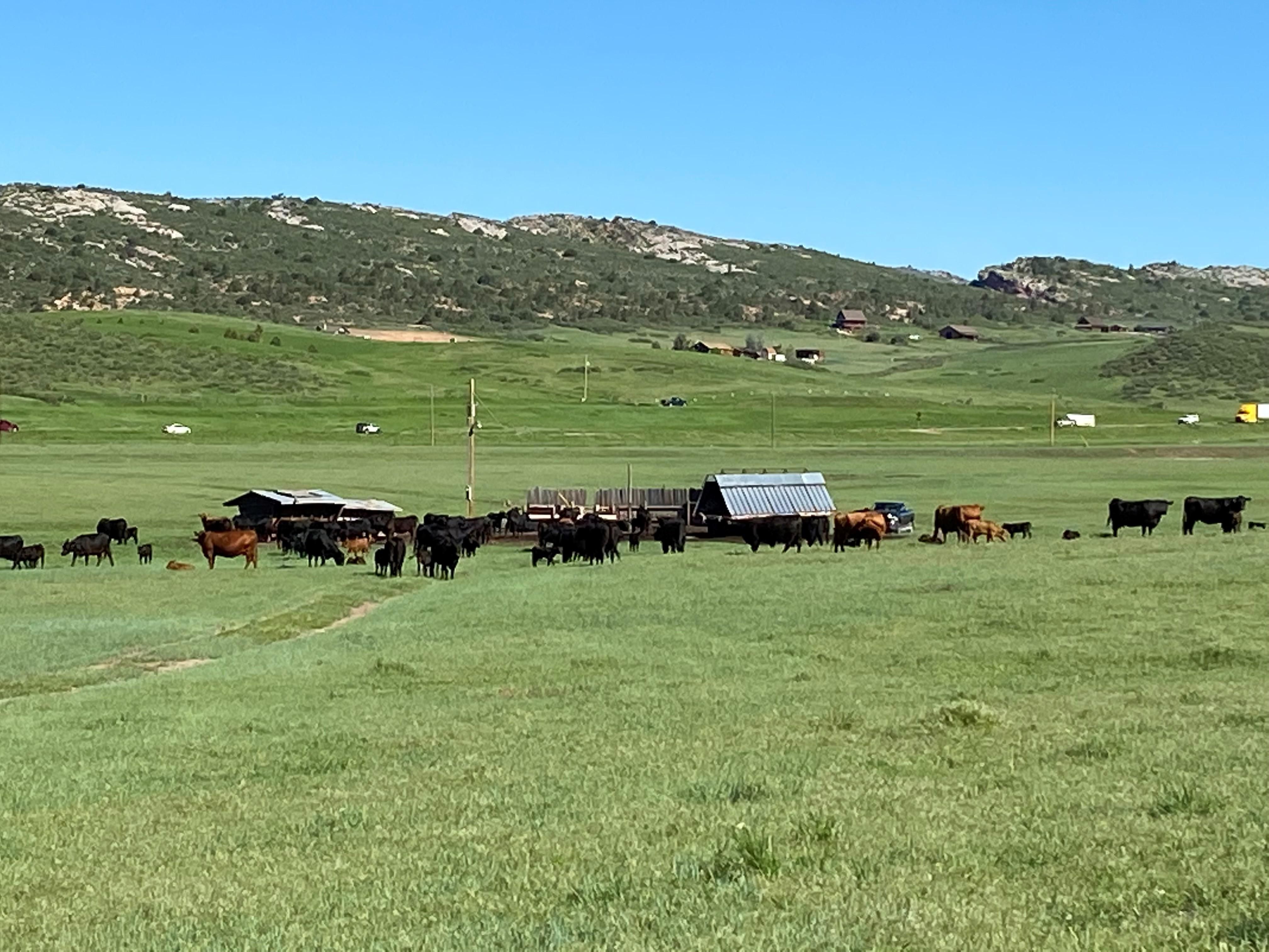 Fort Collins, Larimer County, CO Farms and Ranches, Undeveloped Land ...