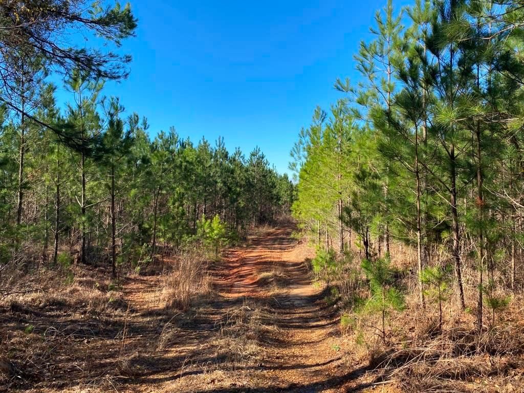 152 acres in Iuka, MS, 38852 | MLS: 7655A Tishomingo County, MS | LandWatch