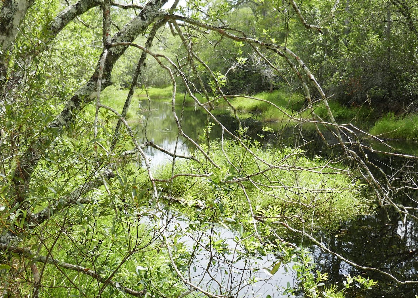 2805 N Unnamed Pt, Crystal River, FL 34428 | LandWatch