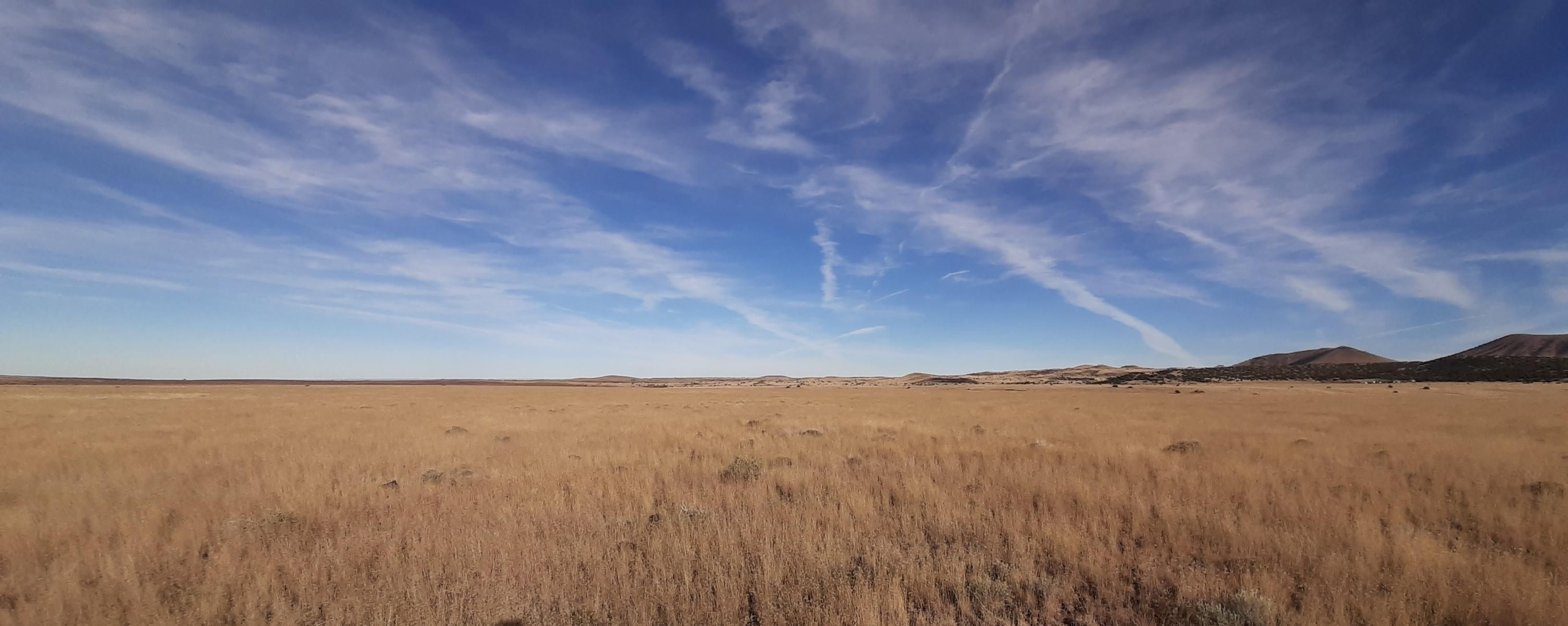 CONCHO LAKELAND, Concho, AZ 85924 | LandWatch